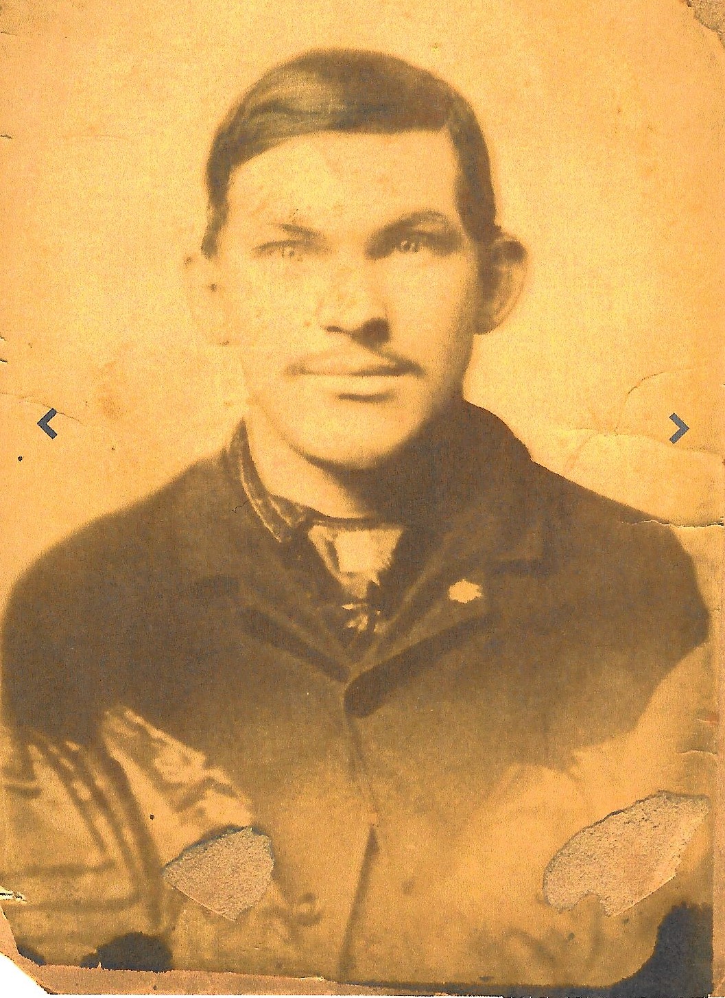 Swanson – The Lyons Tracks
