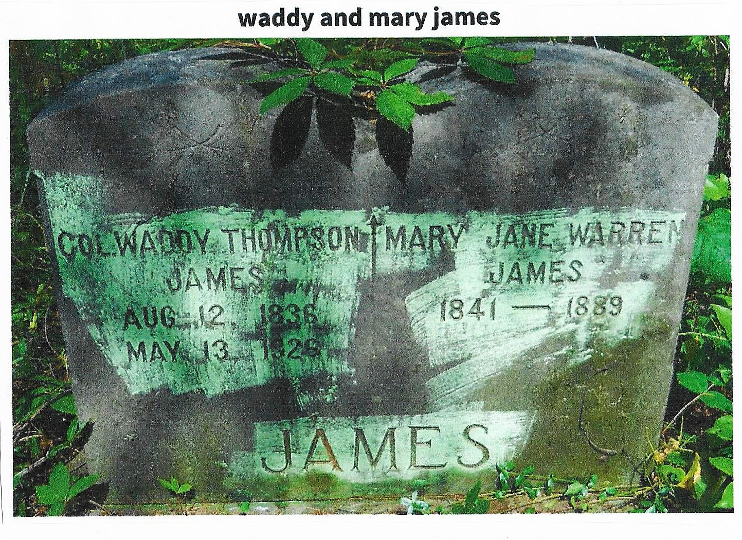 A Soldier’s Story: Col. Waddy Thompson James – The Lyons Tracks