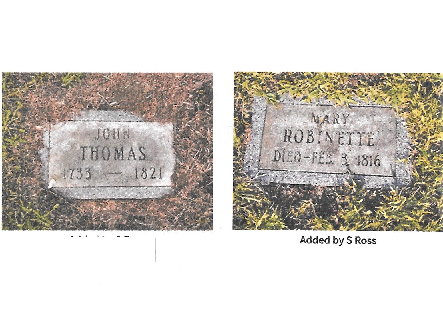 Where did you come from, John Thomas? – The Lyons Tracks