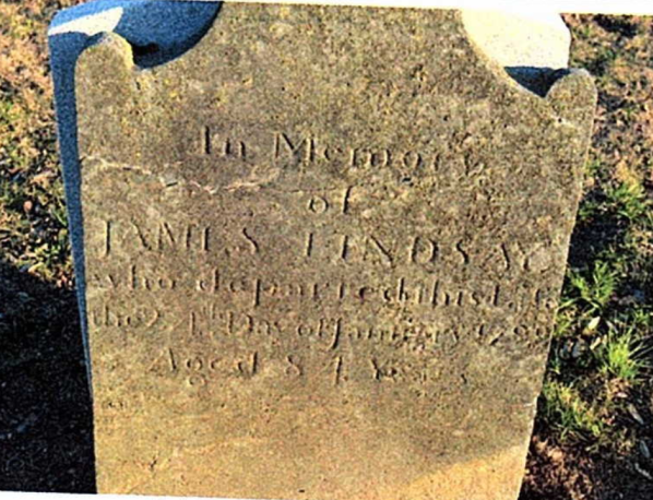 Women Ancestors and Sad Stories: Porter, Ewing and Lindsay – The Lyons ...